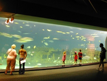 Marine & Zoo Exhibits | AQUAFIN Inc.